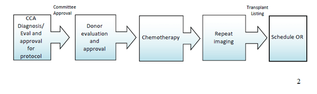 Novel Protocol: Living-Donor Liver Transplant to Treat Intrahepatic ...