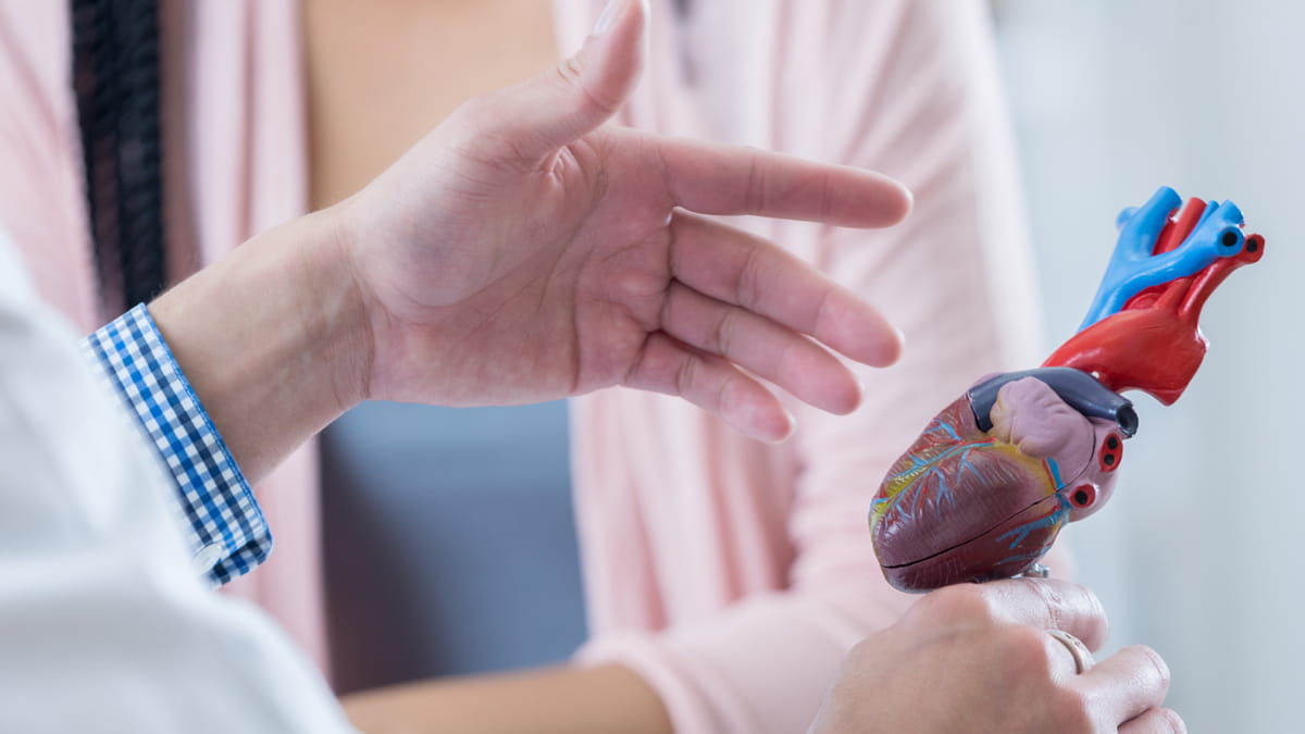 New Associate Chief of Cardiology Appointments | UPMC Physician Resources