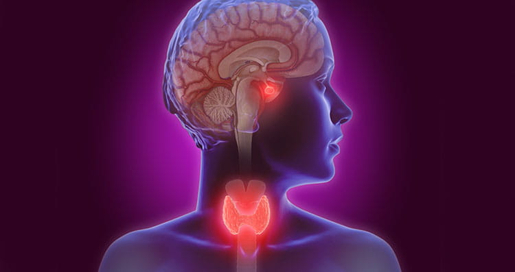 Case Presentation: Rare Neuroendocrine Tumor | UPMC Physician Resources