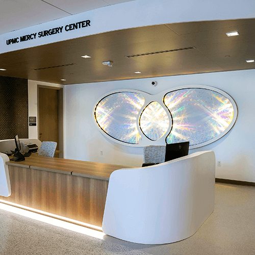 Synergy by Shohei Katayama | Art at UPMC Mercy Pavilion